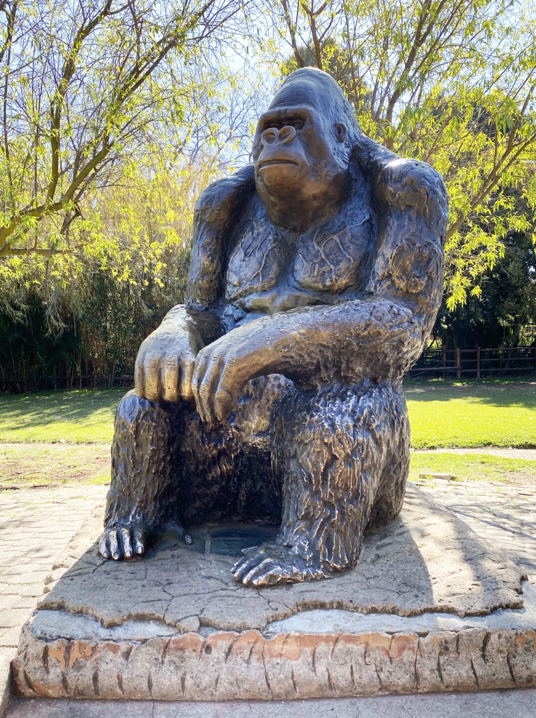 Max the Gorilla - Arts, Culture & Heritage Joburg